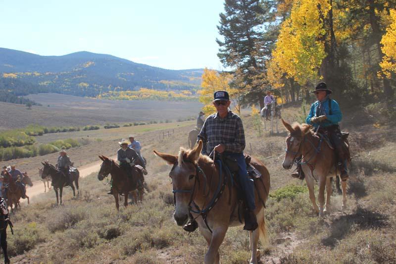 Colorado Mule Riders » Last Year’s Ride