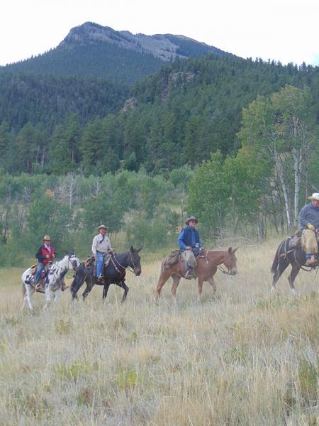 Colorado Mule Riders