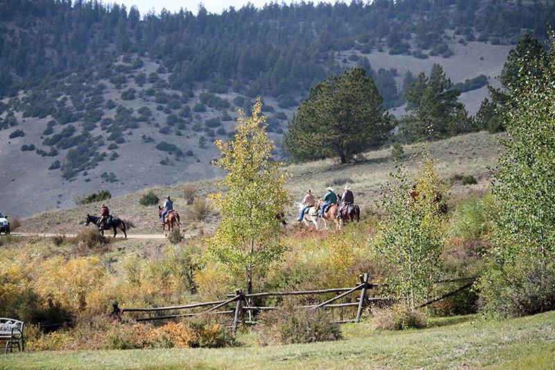 Colorado Mule Riders