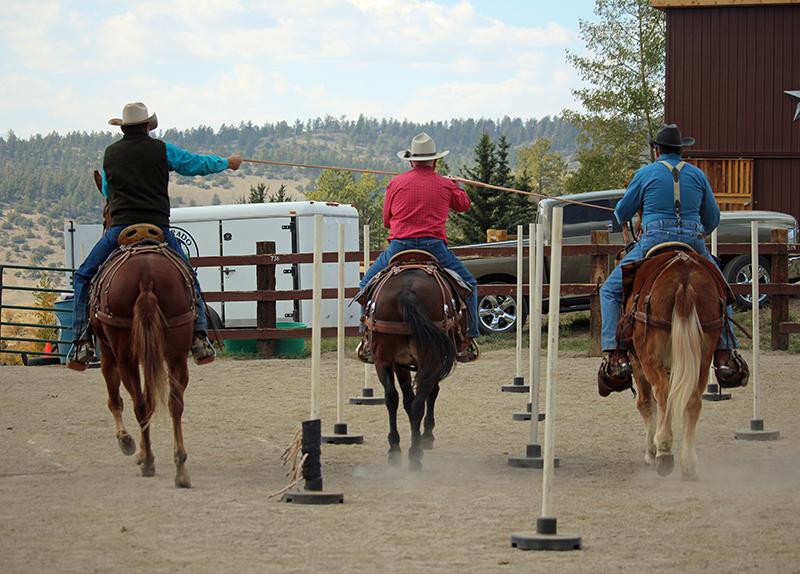 Colorado Mule Riders