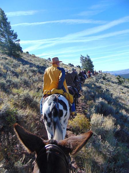 Colorado Mule Riders | Mules, Mountains and Men