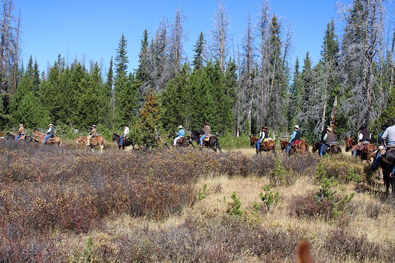Colorado Mule Riders | Mules, Mountains and Men