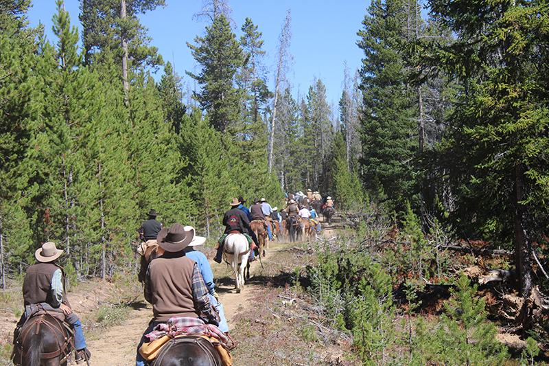 Colorado Mule Riders | Mules, Mountains and Men