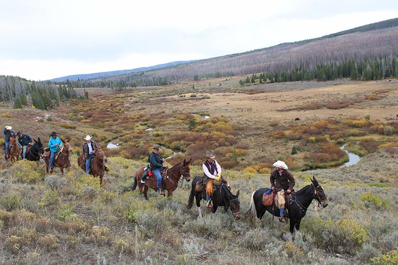 Colorado Mule Riders | Mules, Mountains and Men