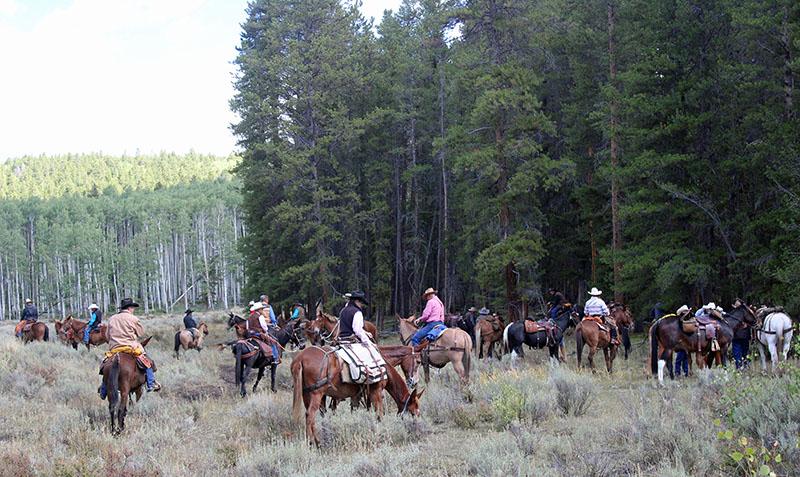 Colorado Mule Riders | Mules, Mountains and Men