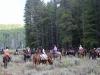 Colorado Mule Riders | Mules, Mountains and Men